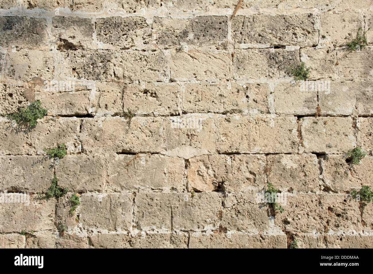 sand stone brick wall texture Stock Photo - Alamy