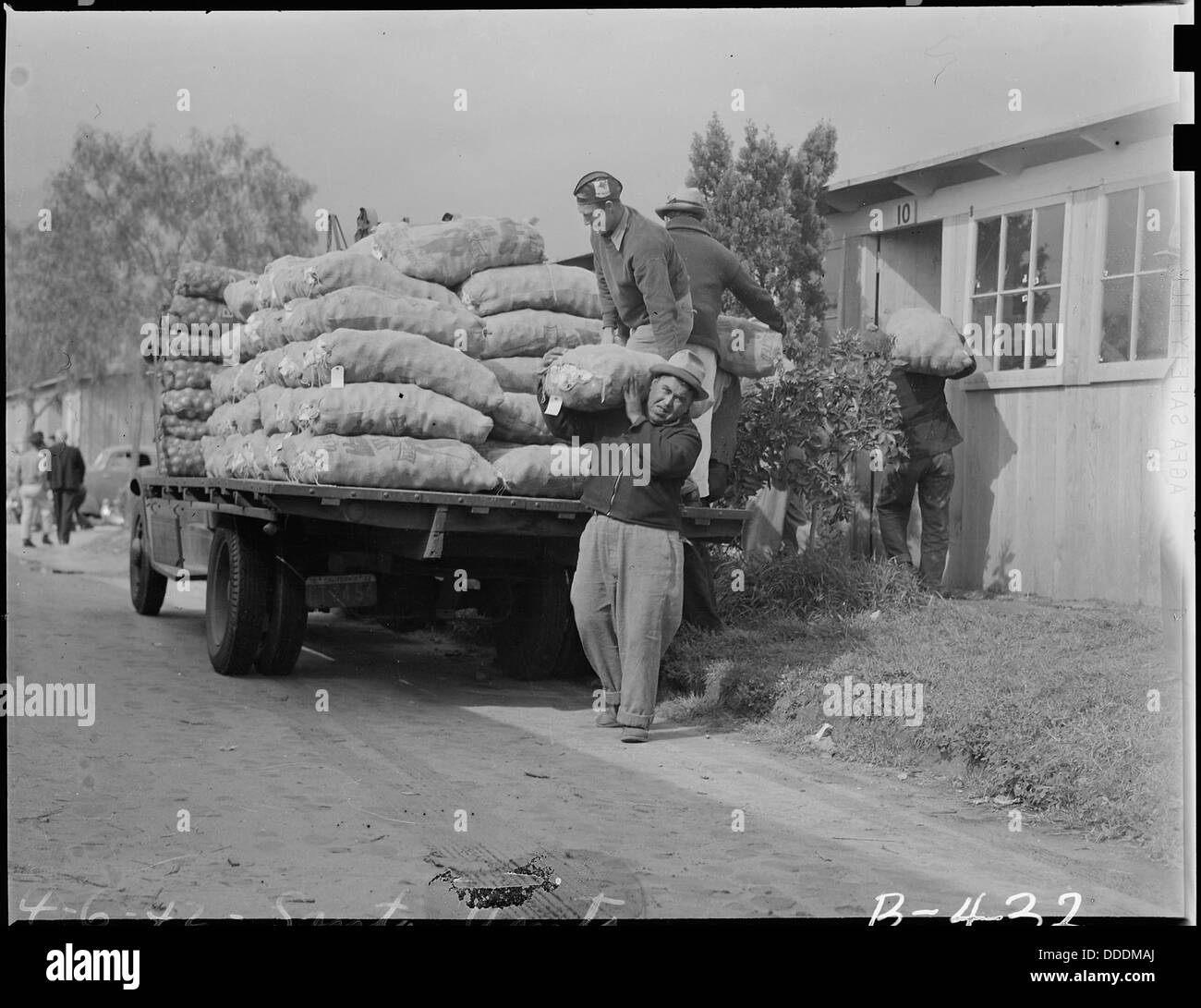 This image shows sacks of fresh vegetables arriving at the Santa Anita ...