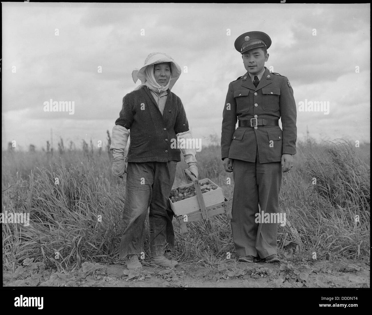 Soldier life during wwii hi-res stock photography and images - Alamy
