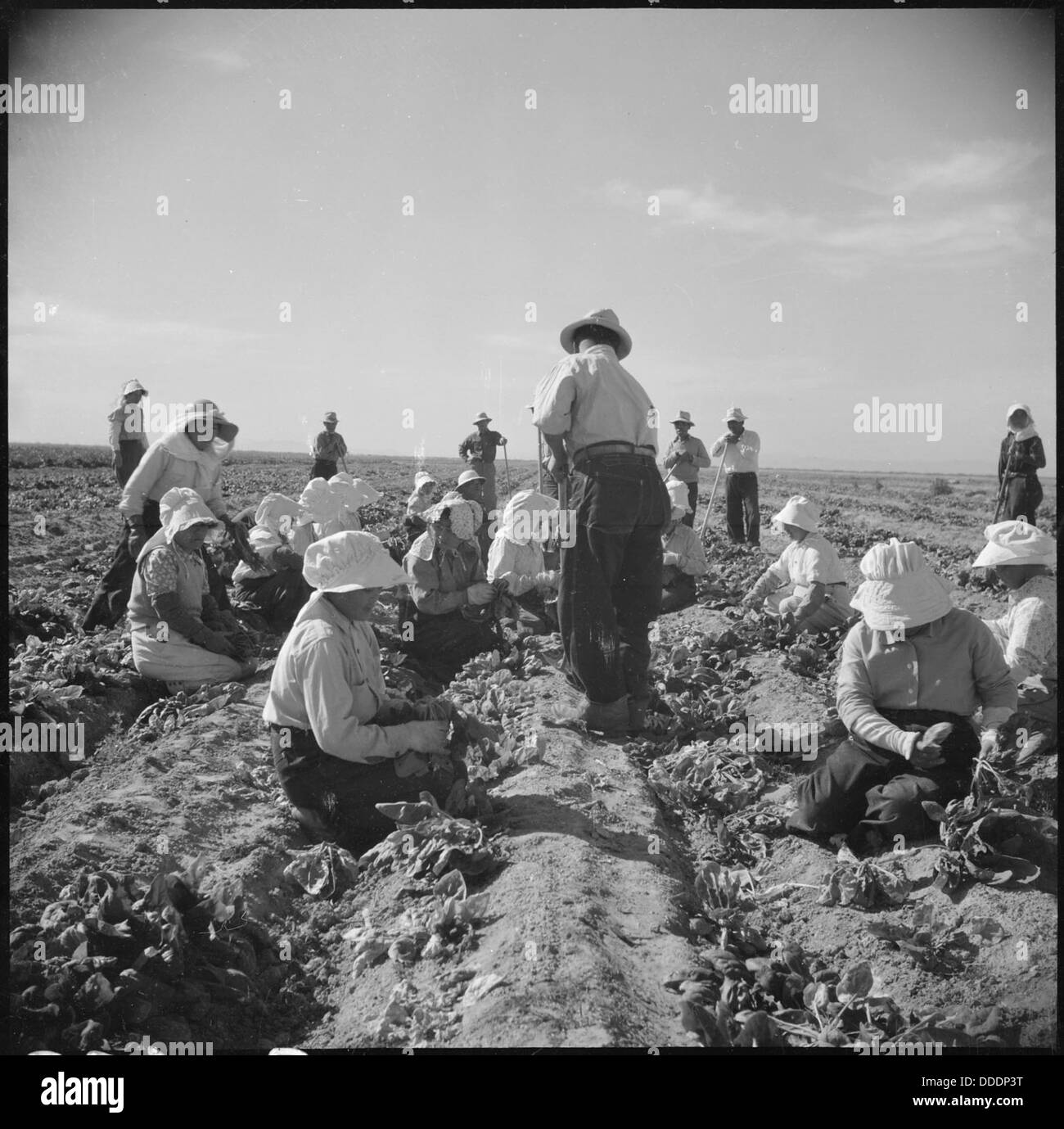 Machinery relocation Black and White Stock Photos & Images - Alamy