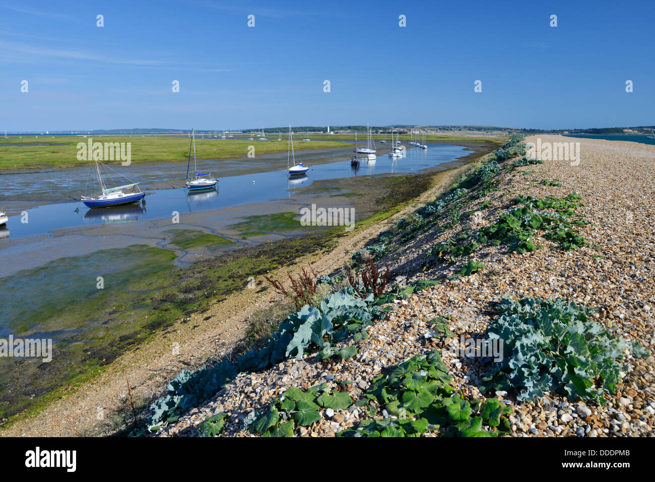 Hampshire england uk spit hi-res stock photography and images - Alamy