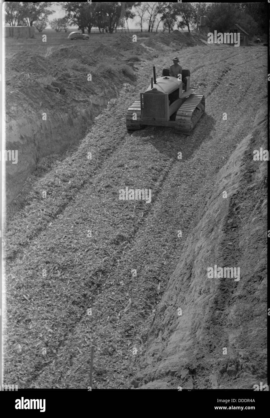 Two corn Black and White Stock Photos & Images - Alamy
