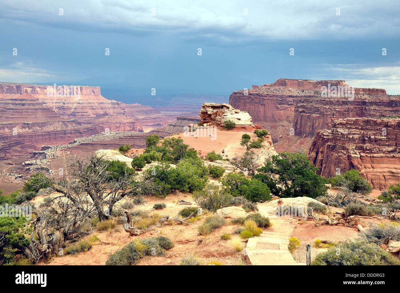 Grand Canyon National Park landscape USA Stock Photo - Alamy