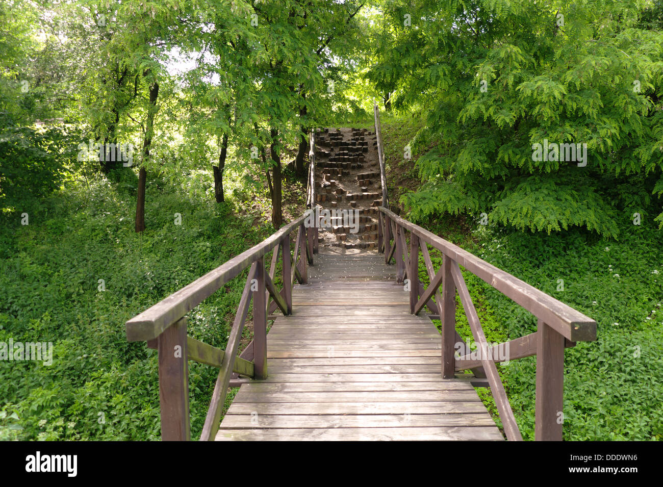 bridge to the bush Stock Photo - Alamy
