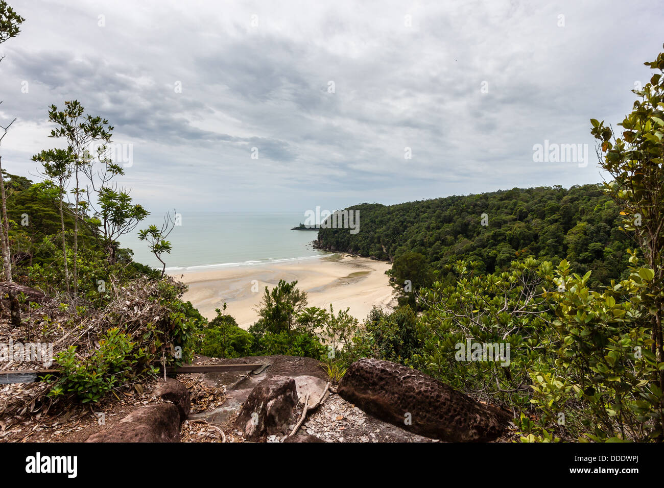 Tropical rain forest and a beach in Borneo Stock Photo - Alamy