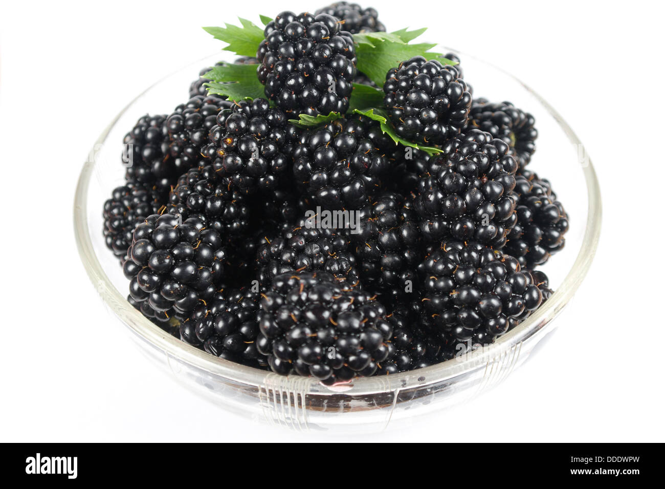 Black mulberry fruit hi-res stock photography and images - Alamy