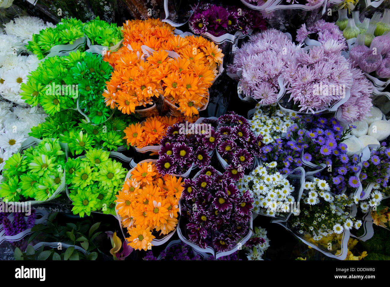 mixed bouquet of flowers Stock Photo - Alamy