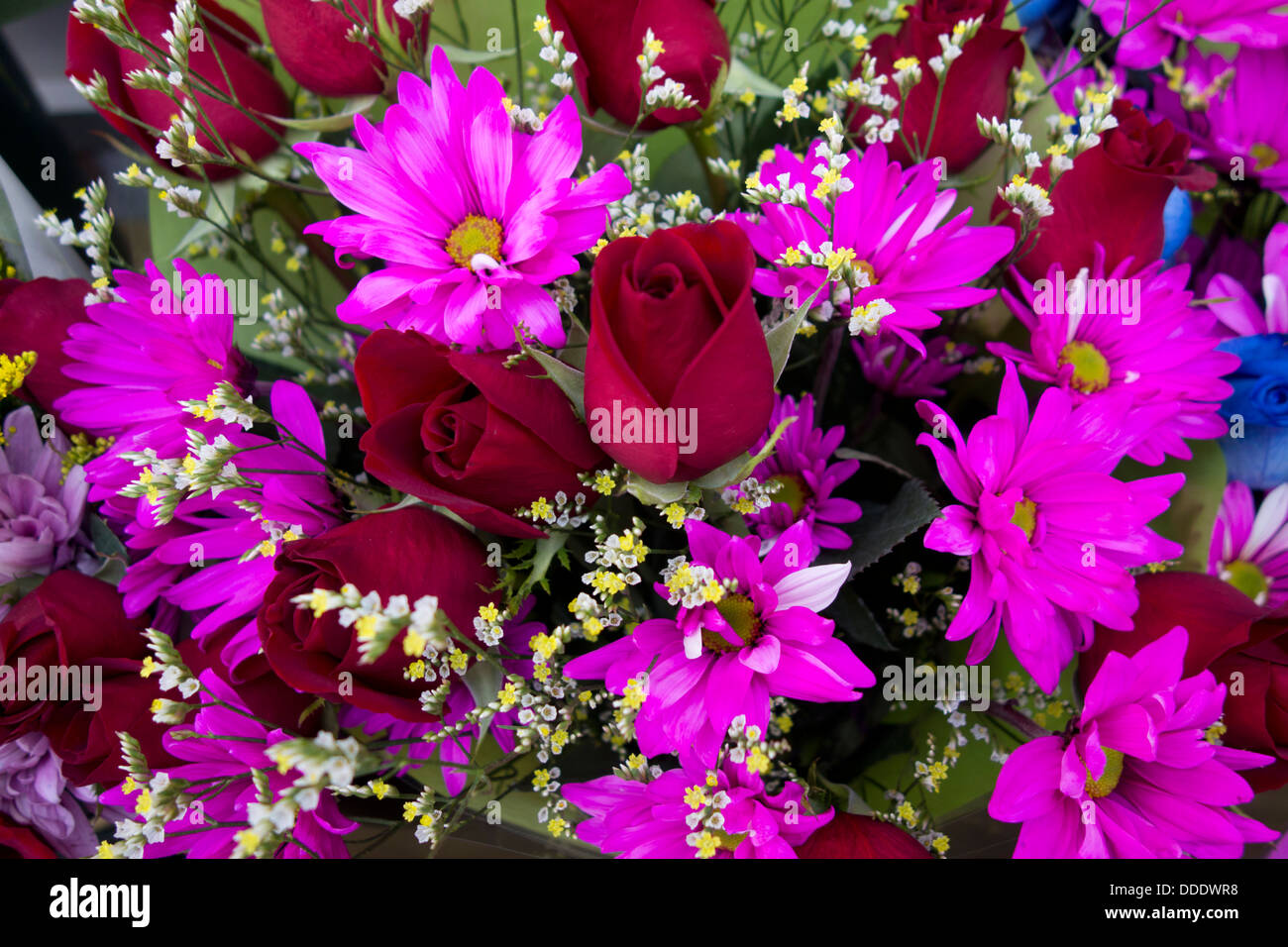 Lily roses and many flowers hi-res stock photography and images - Alamy