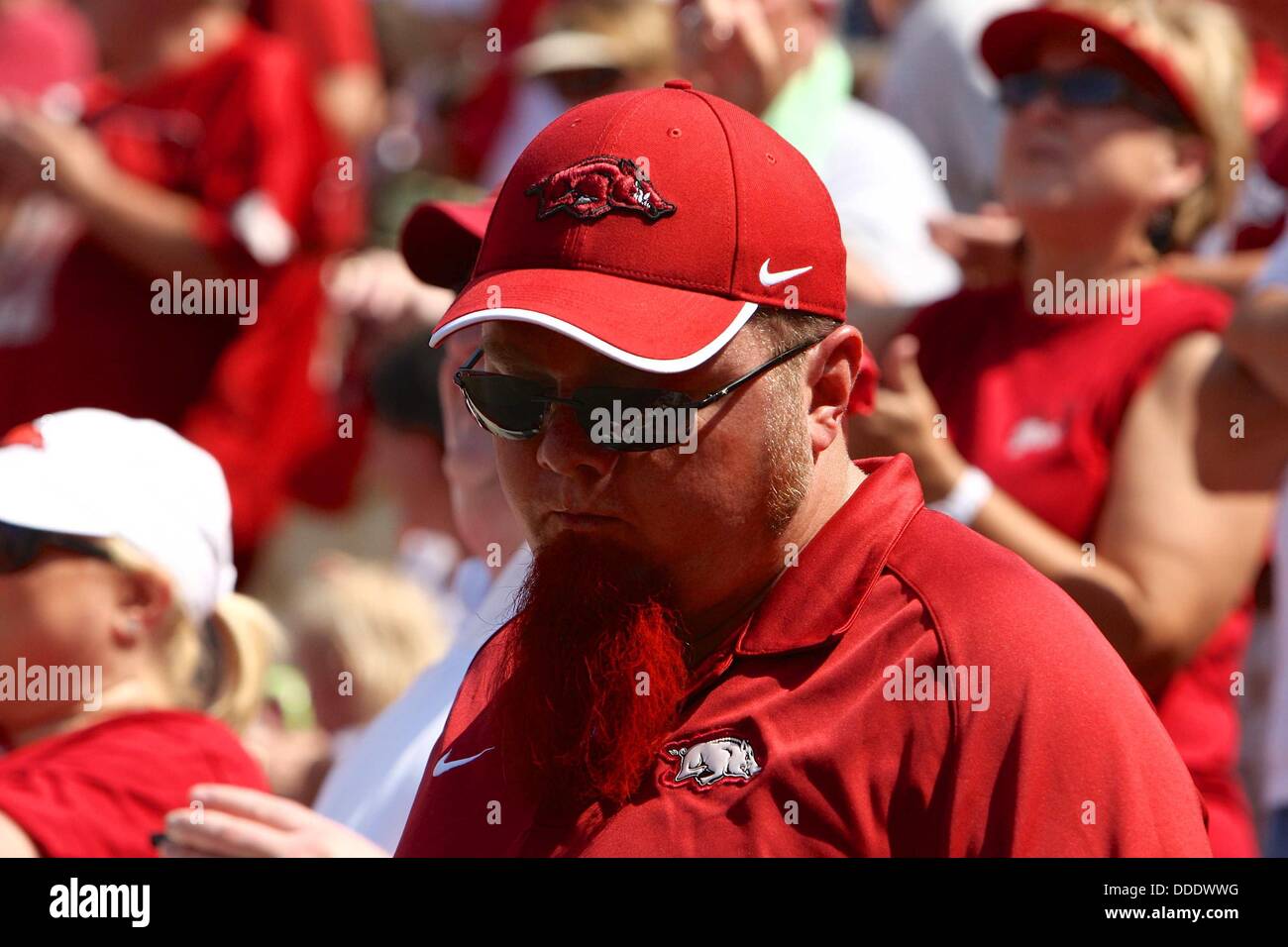 Aug 31, 2013: A Razorback fan shows his support for his team by dyeing ...