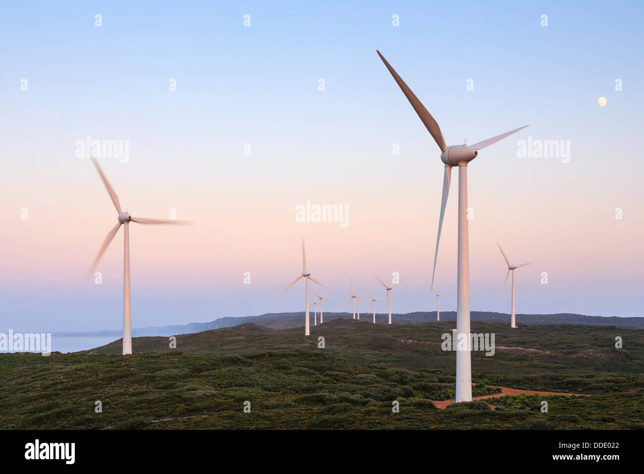 Wind turbines at the Albany Wind Farm, Western Australia, before Dawn ...