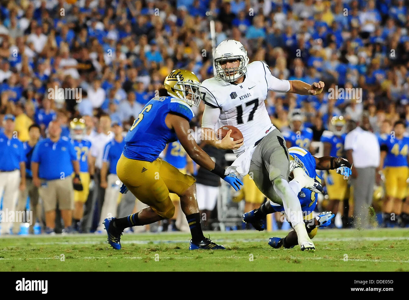 Nevada wolf pack football hi-res stock photography and images - Alamy