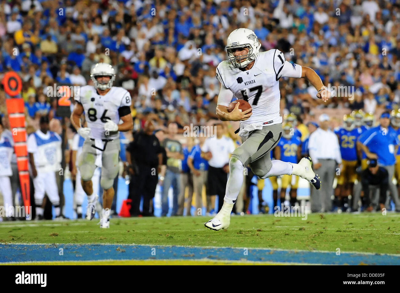 August 31, 2013 Pasadena, CA.Nevada Wolf Pack quarterback Cody Fajardo ...