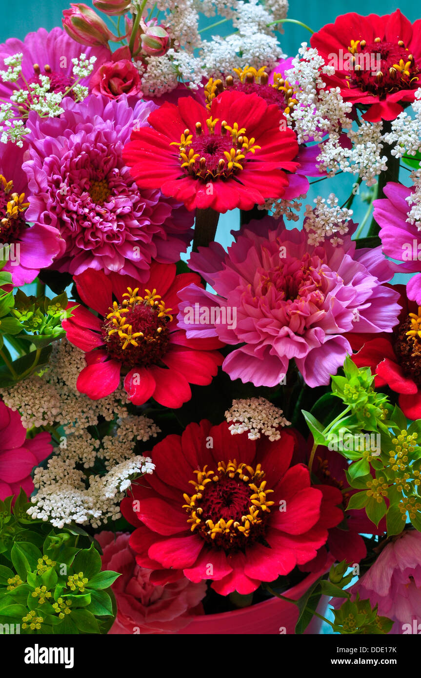 Display of blooms hi-res stock photography and images - Alamy