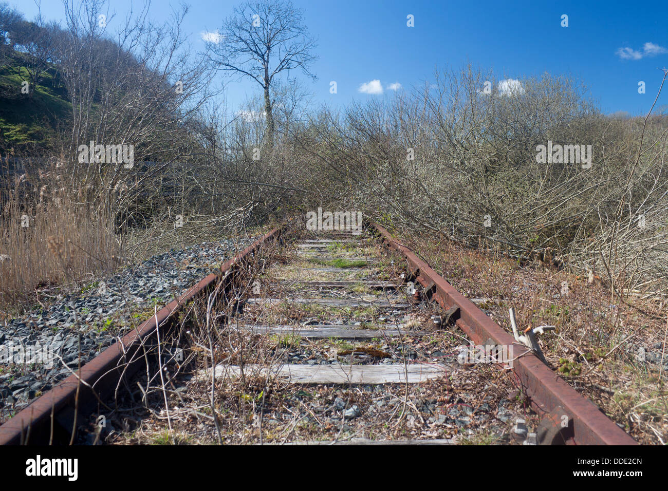 Overgrown railway track hi-res stock photography and images - Alamy