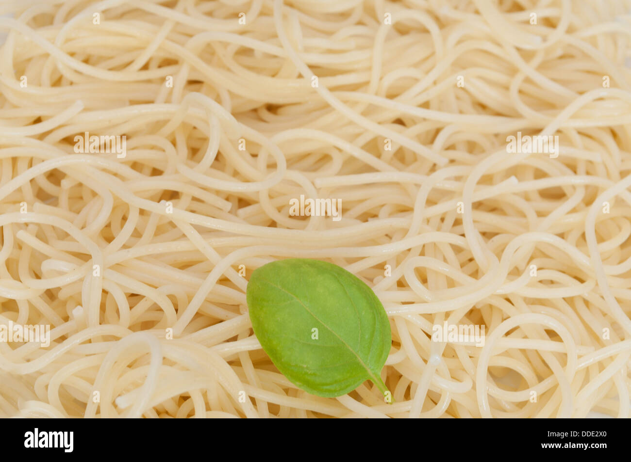 Background - Detail of Boiled Spaghetti With Leaf of Basil Stock Photo ...
