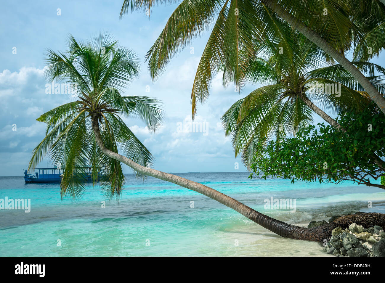 Tropical beach with palm trees boat Stock Photo - Alamy