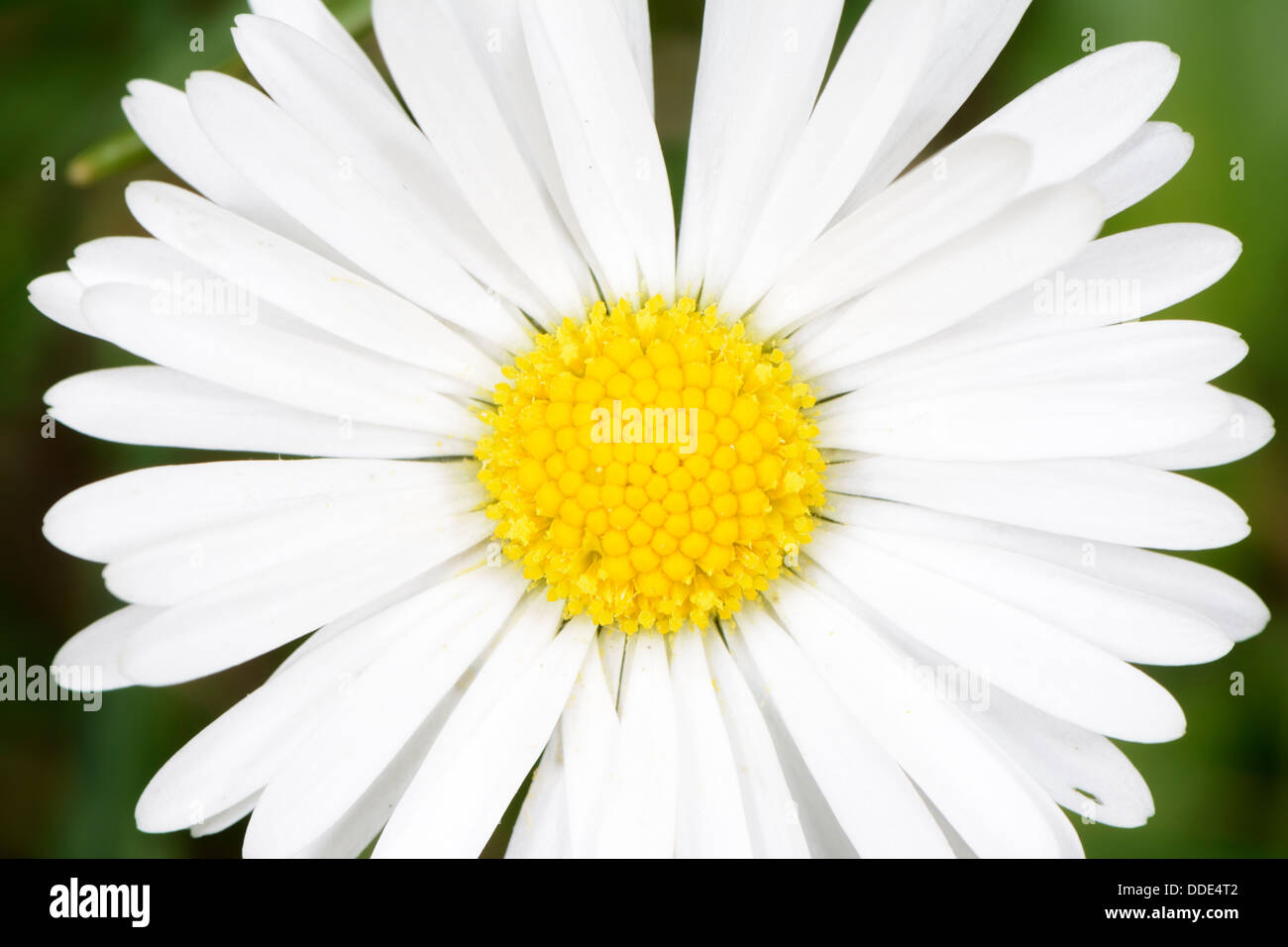 Symmetry white simple hi-res stock photography and images - Alamy