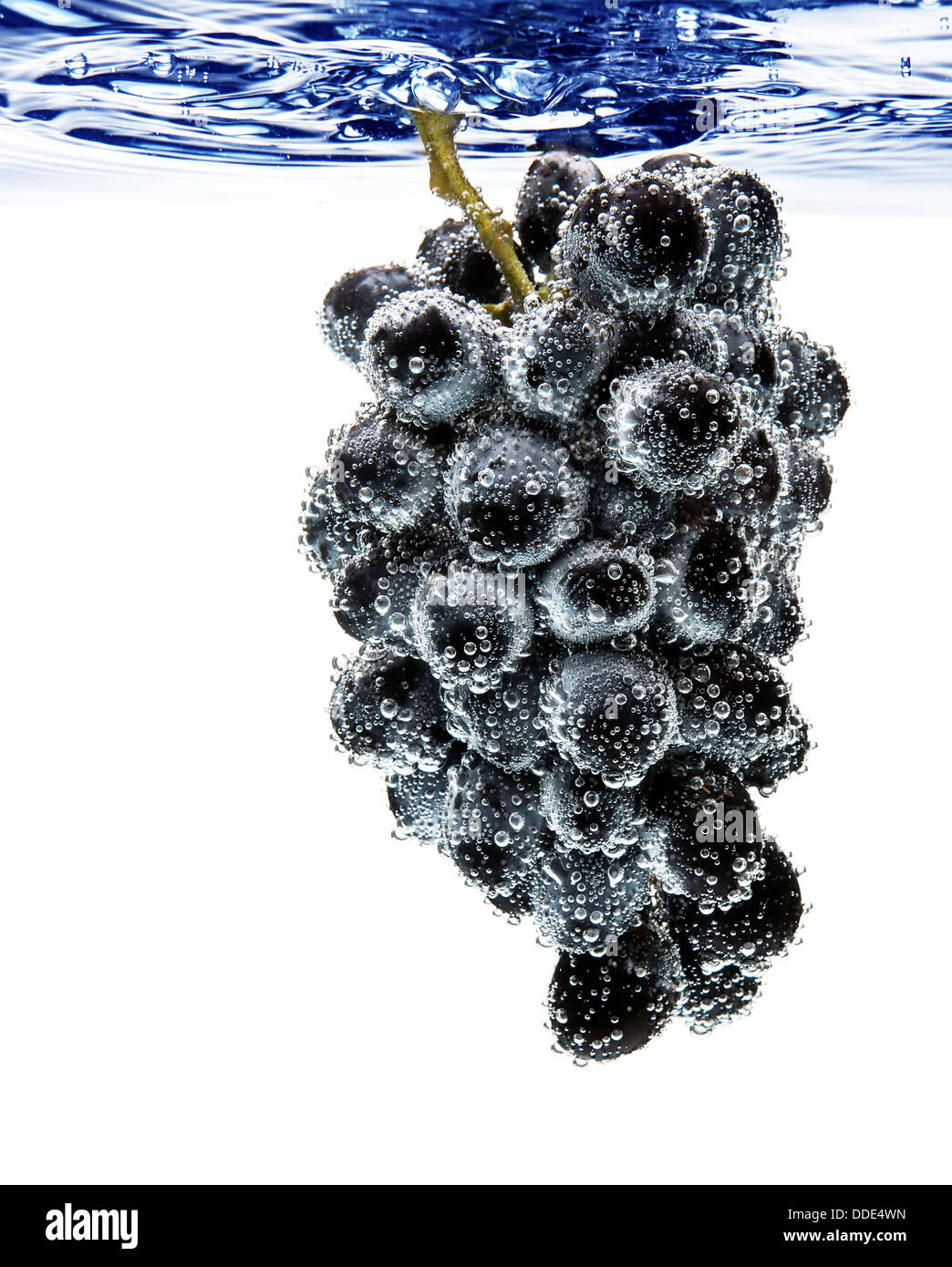 Bunch of grapes floating in water with air bubbles Stock Photo - Alamy