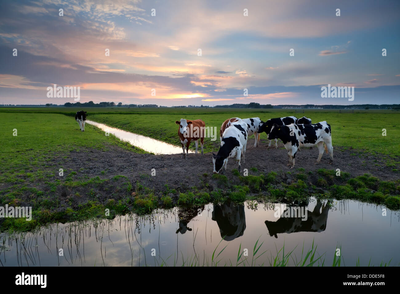 Pasture river hi-res stock photography and images - Alamy