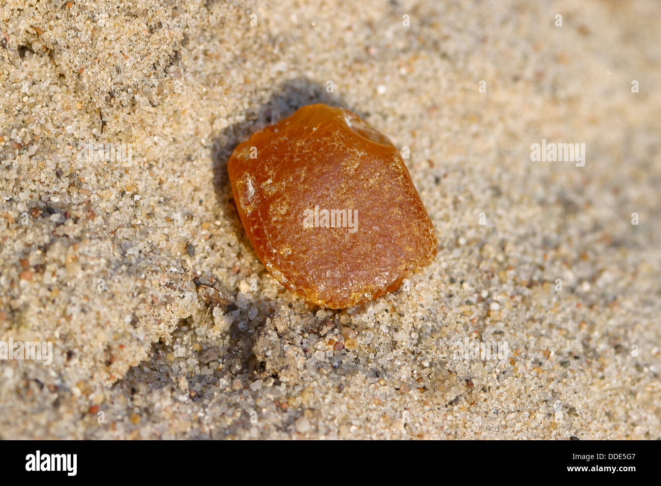 Amber, Bernstein am Strand, im Sand, Kinderhand mit im Spülsaum ...