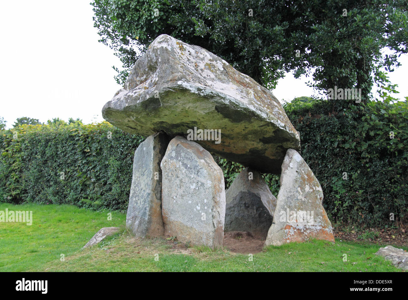 Carreg Coetan Arthur neolithic burial chamber, Newport, Pembrokeshire ...
