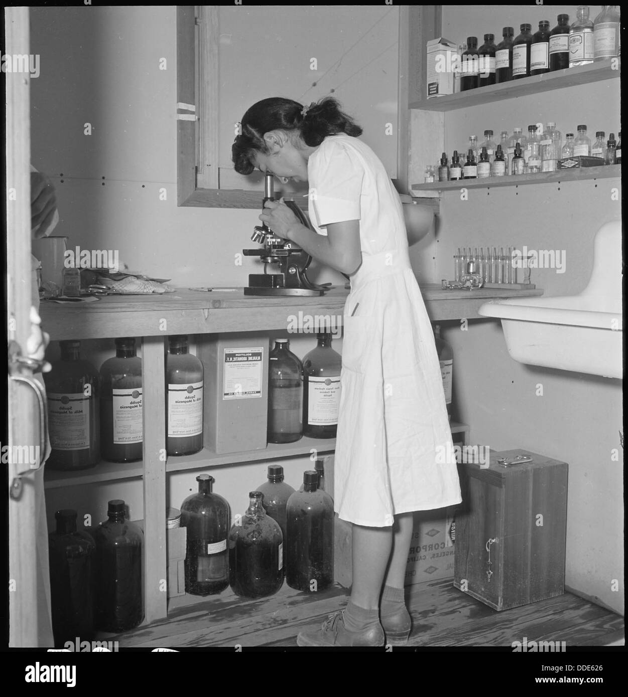 Mary Uyesato, a trained laboratory assistant, works at the Manzanar ...