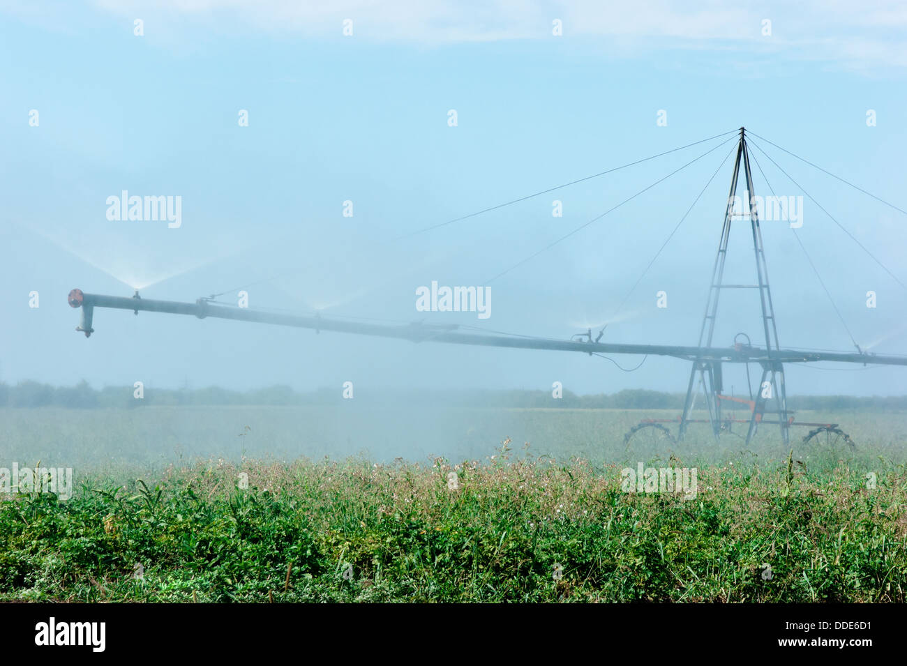 irrigation system watering field Stock Photo - Alamy