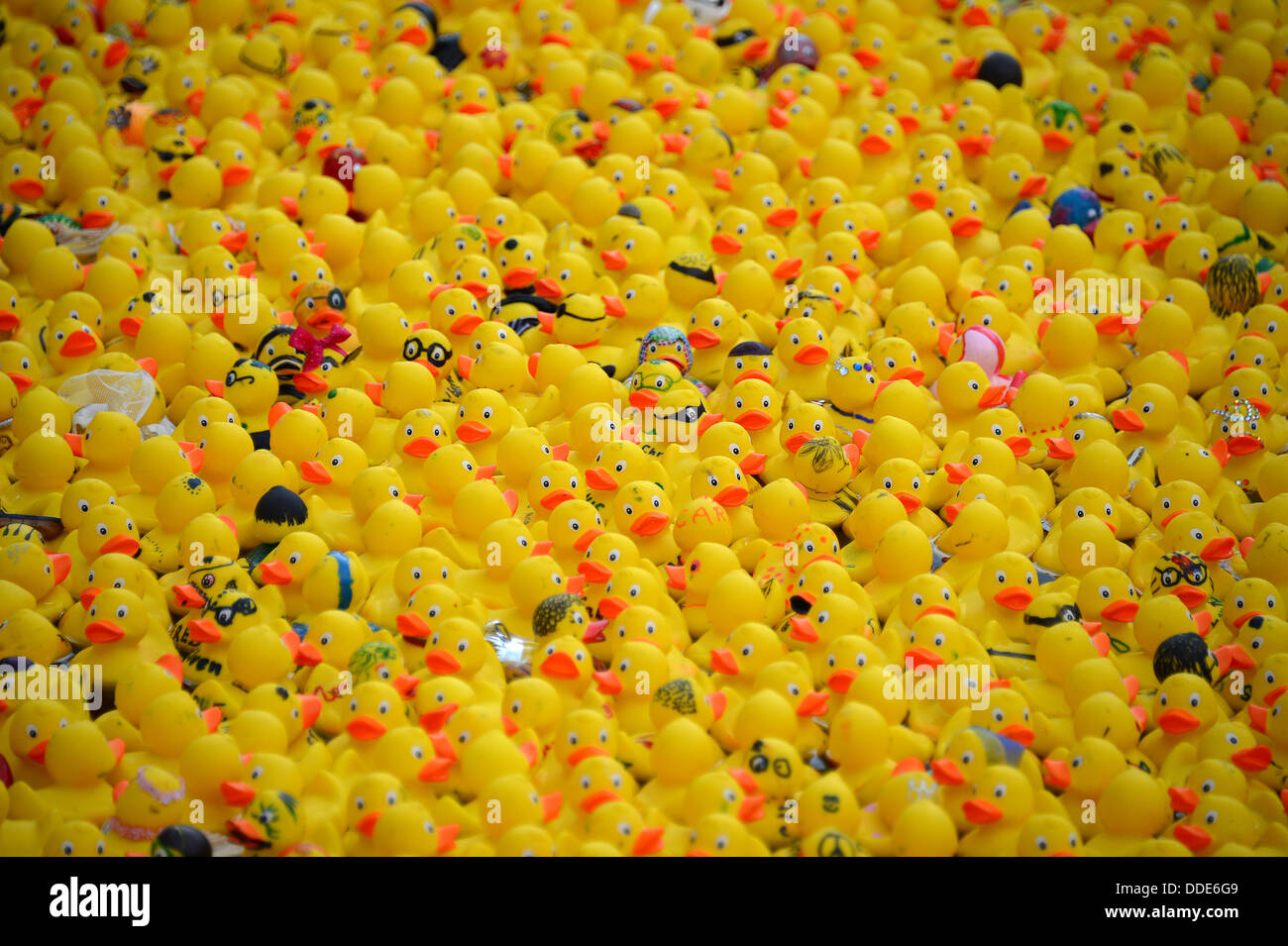 Rubber duck race germany hi-res stock photography and images - Alamy