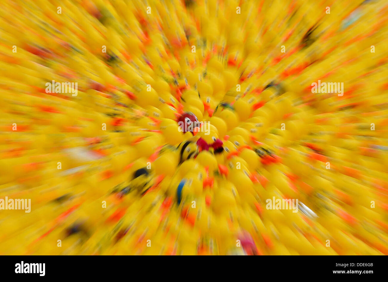 Rubber duck race germany hi-res stock photography and images - Alamy
