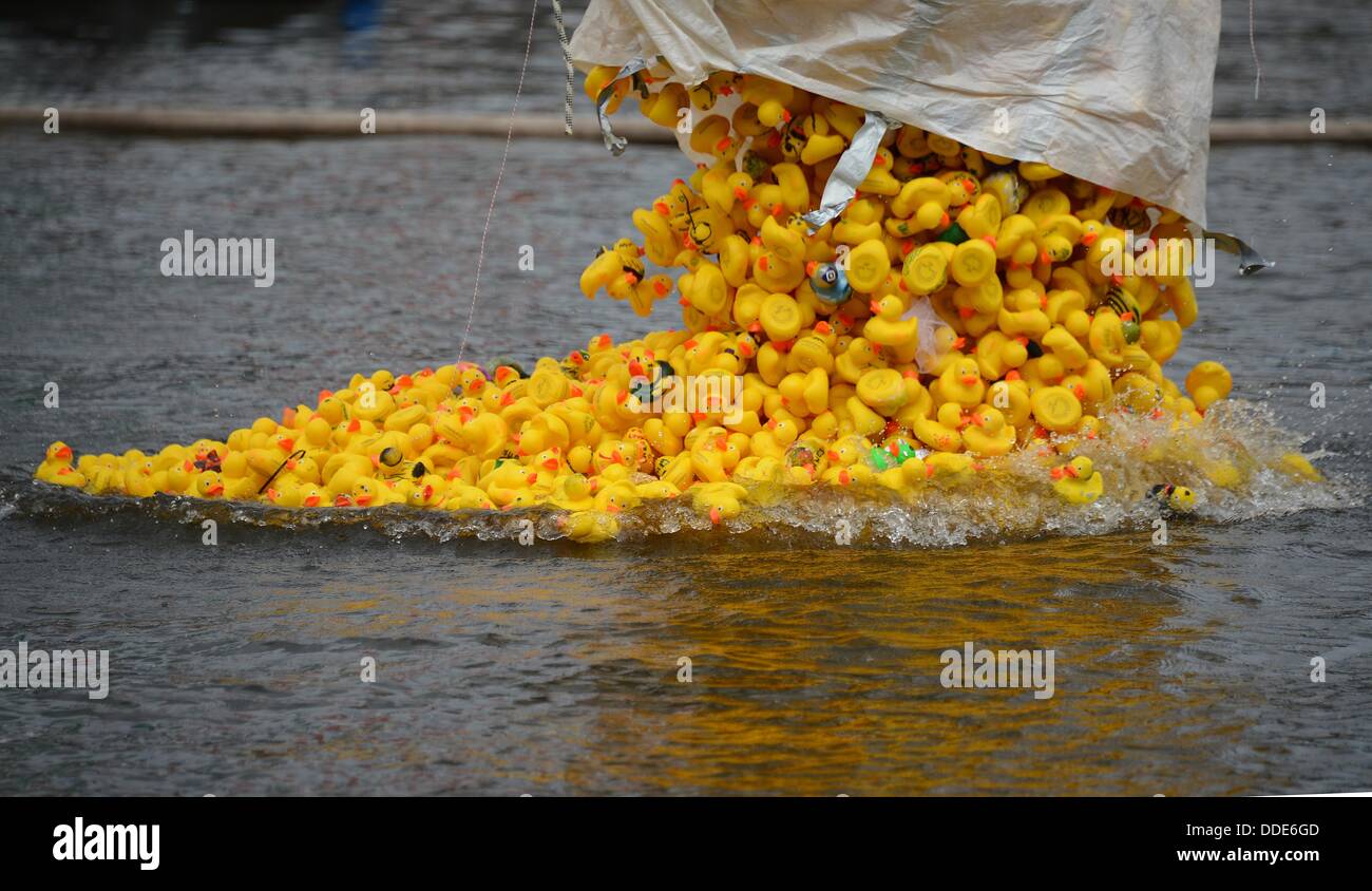 Rubber duck race germany hi-res stock photography and images - Alamy