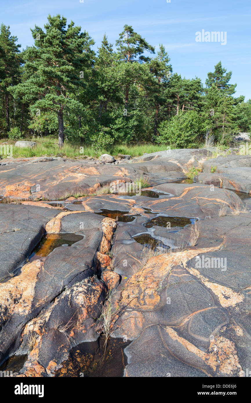 Beautiful patterns in nature Stock Photo - Alamy