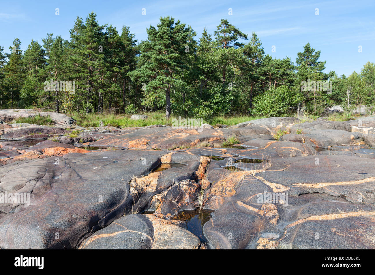 Beautiful patterns in nature Stock Photo - Alamy