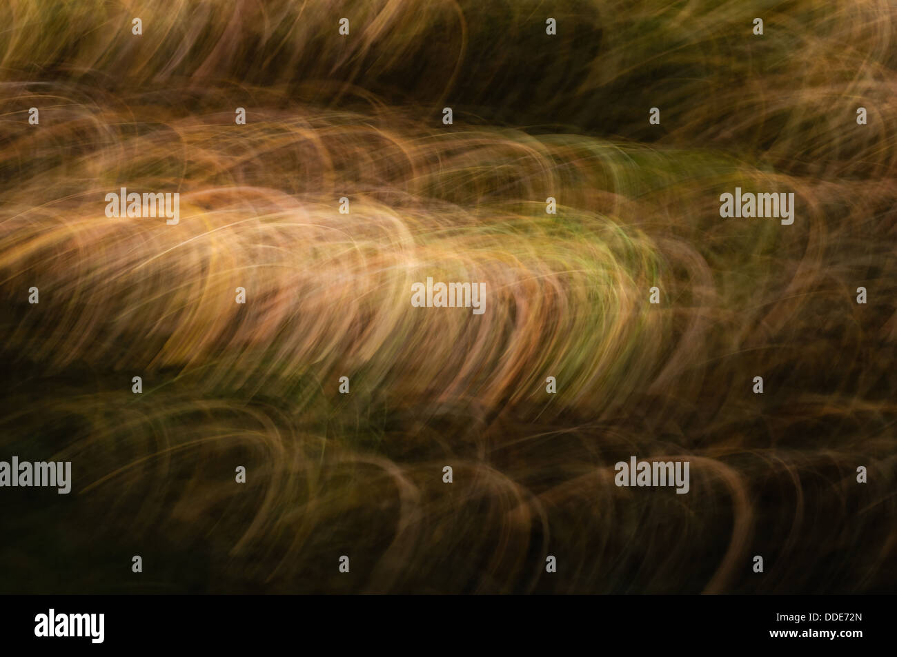 Blurred nature pattern Stock Photo - Alamy