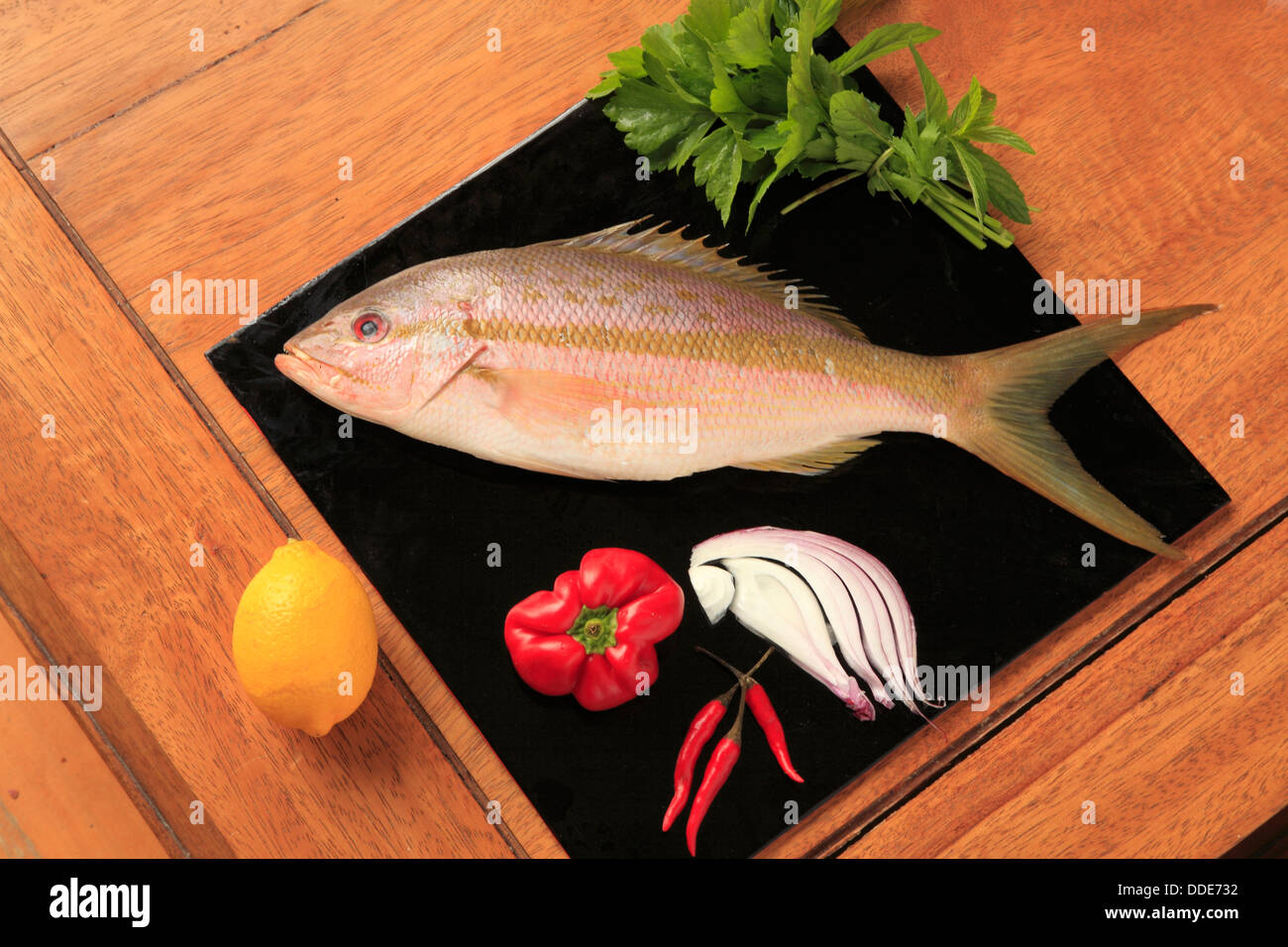 Fish, yellowtail snapper Stock Photo - Alamy