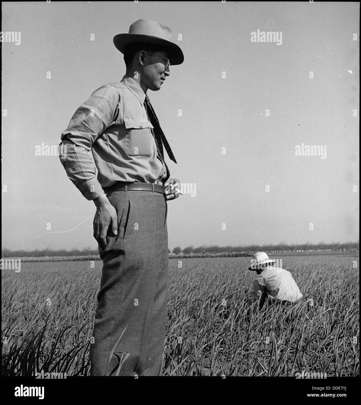 Working field california Black and White Stock Photos & Images - Alamy