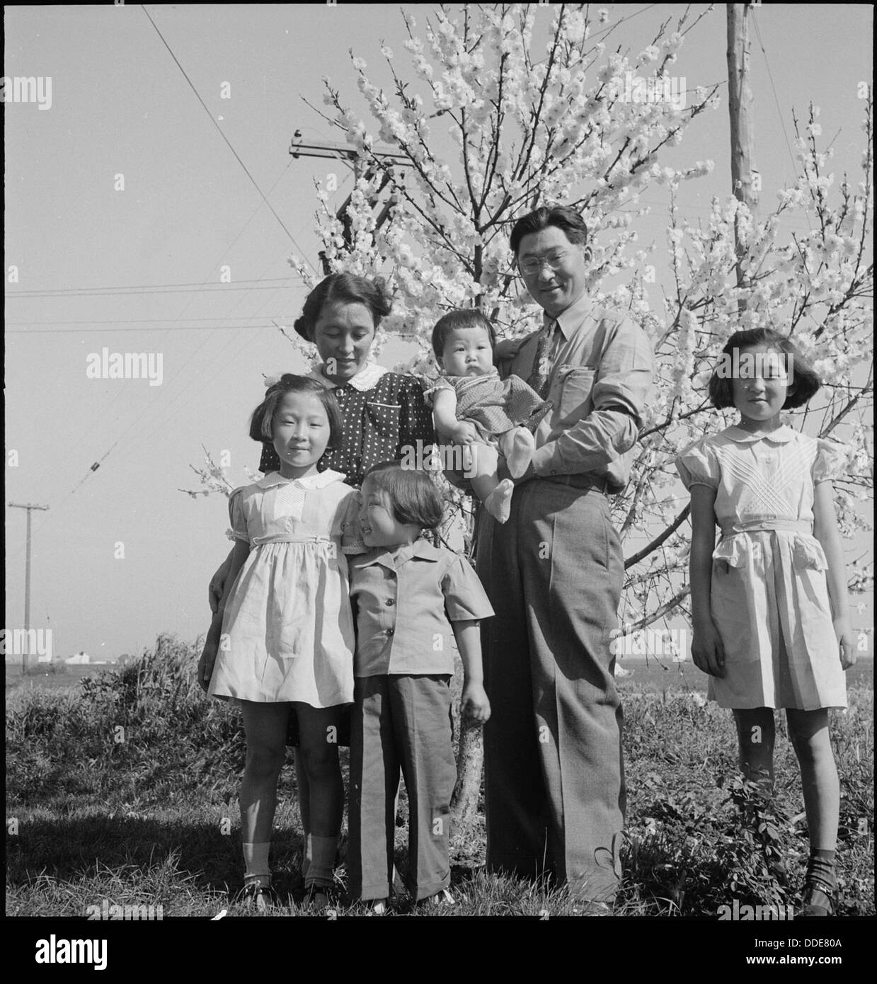 California members of the mitarai family on their ranch hi-res stock ...