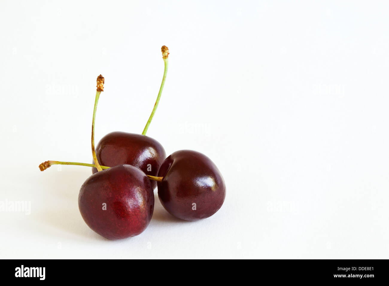 Three cherries with stalks against a white background Stock Photo - Alamy