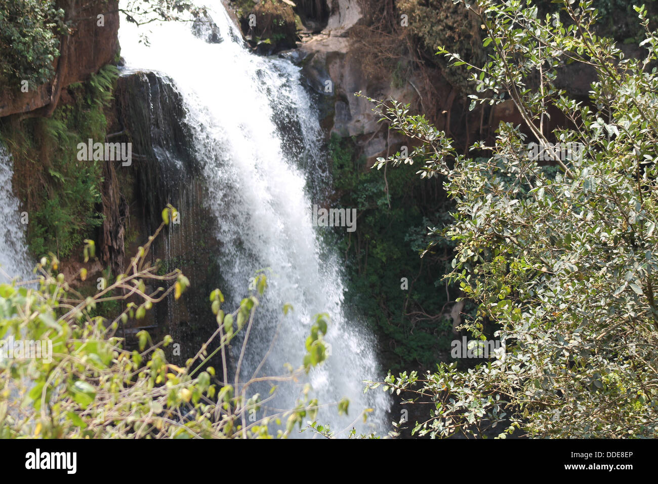 Thika kenya hi-res stock photography and images - Alamy