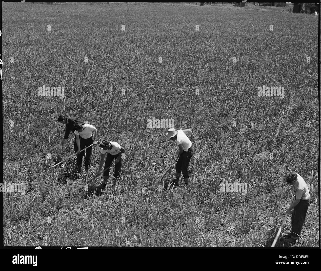 San food Black and White Stock Photos & Images - Alamy
