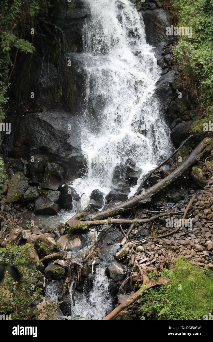 Thika river hi-res stock photography and images - Alamy