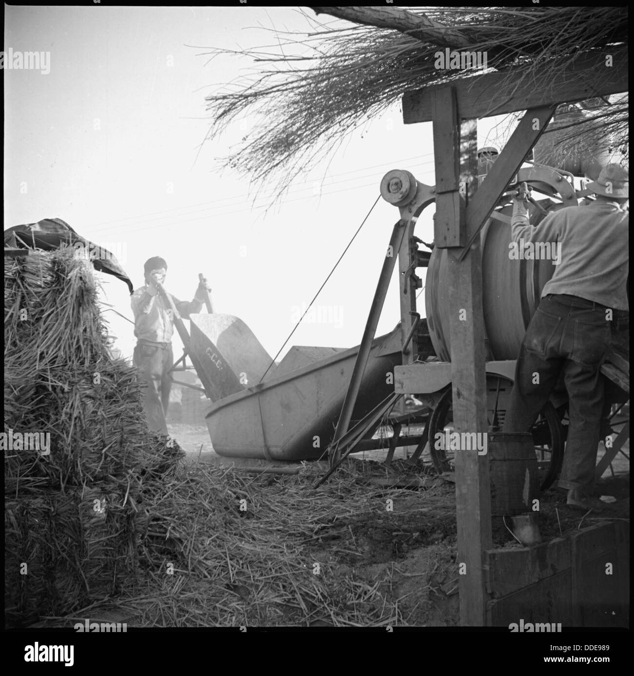 Poston camp hi-res stock photography and images - Alamy