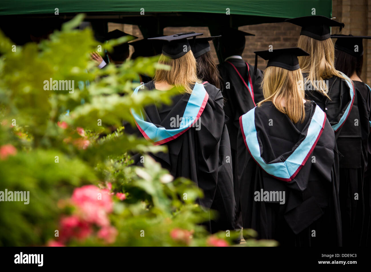 Graduates line up to enter their ceremony. They are all facing away ...