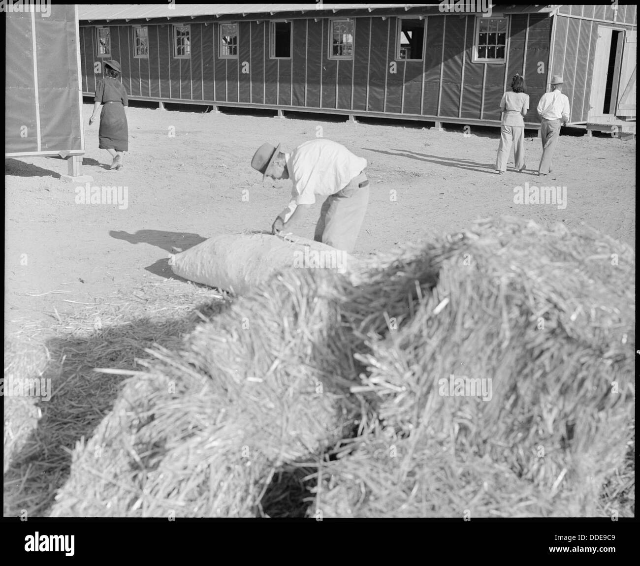 Arizona filling straw ticks mattresses hi-res stock photography and ...