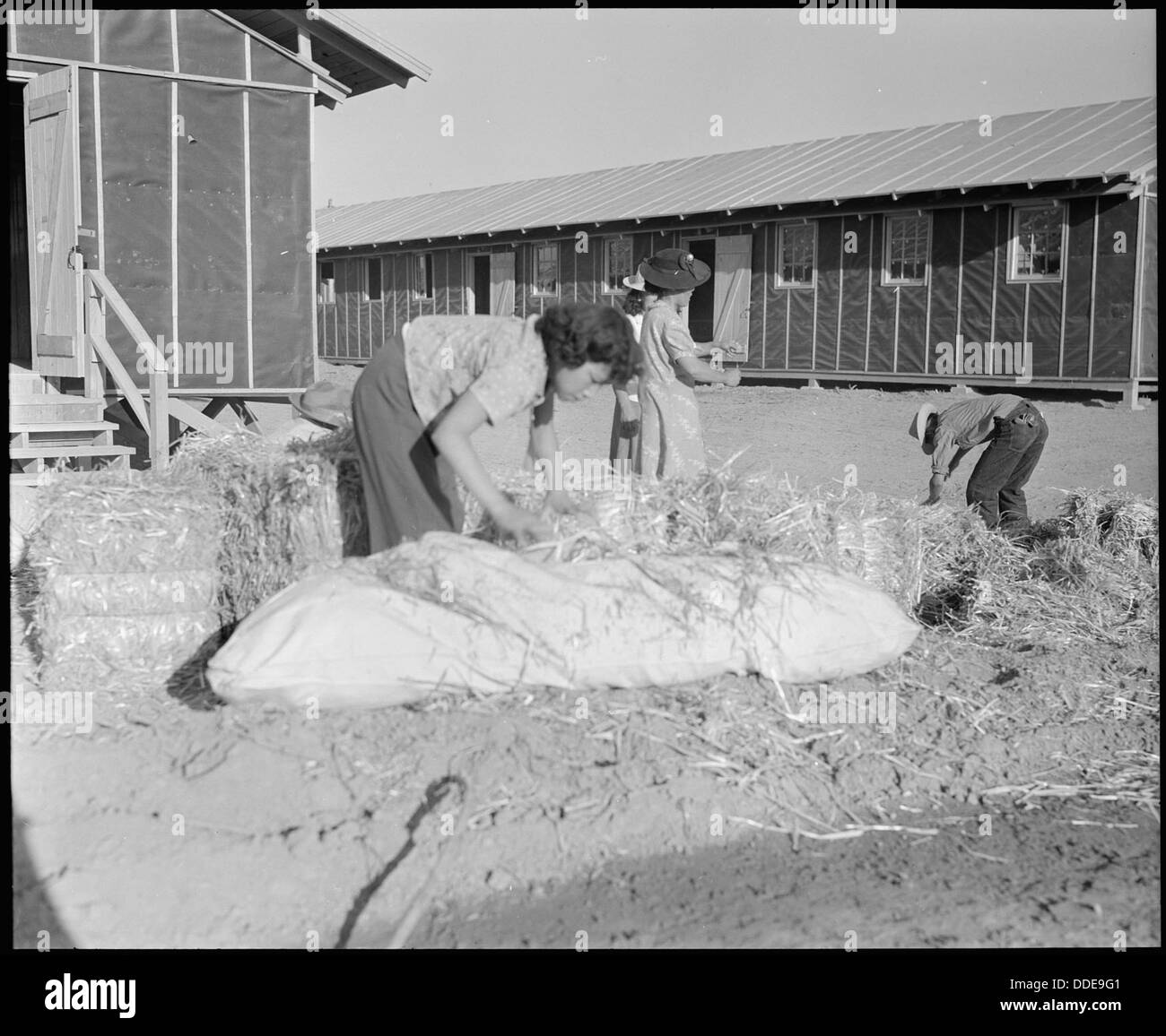 Arizona filling straw ticks mattresses hi-res stock photography and ...