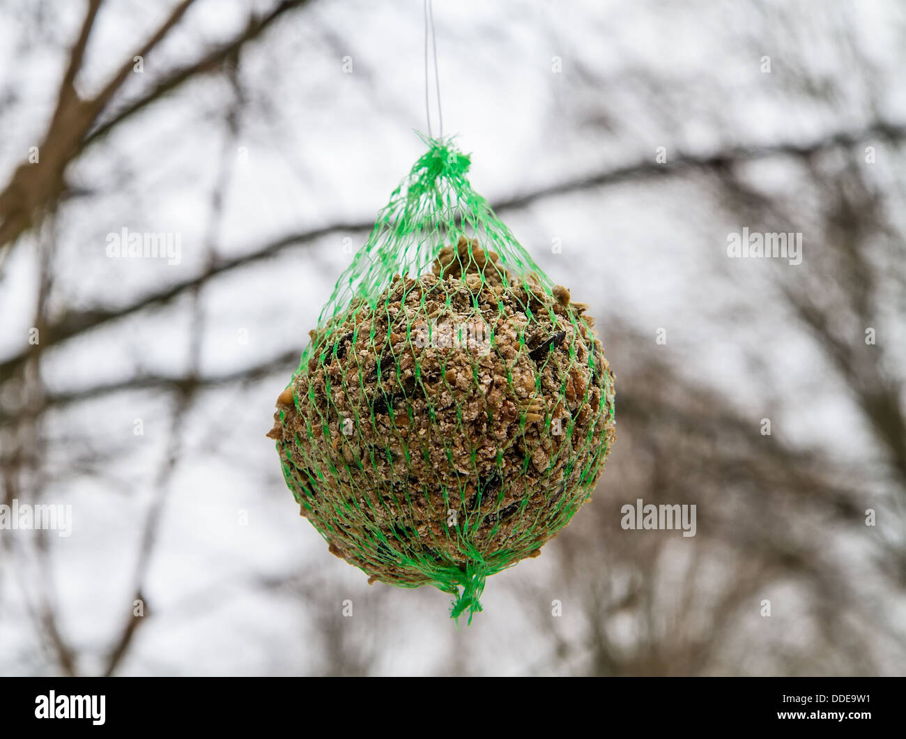 Food for birds hi-res stock photography and images - Alamy