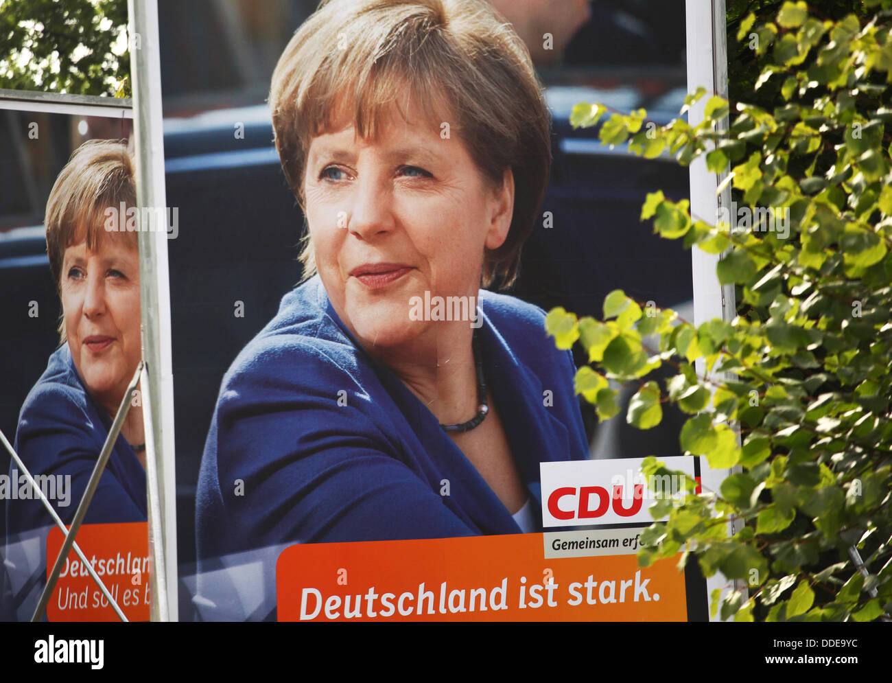 Election posters of German Chancellor Merkel are seen behind a tree in ...