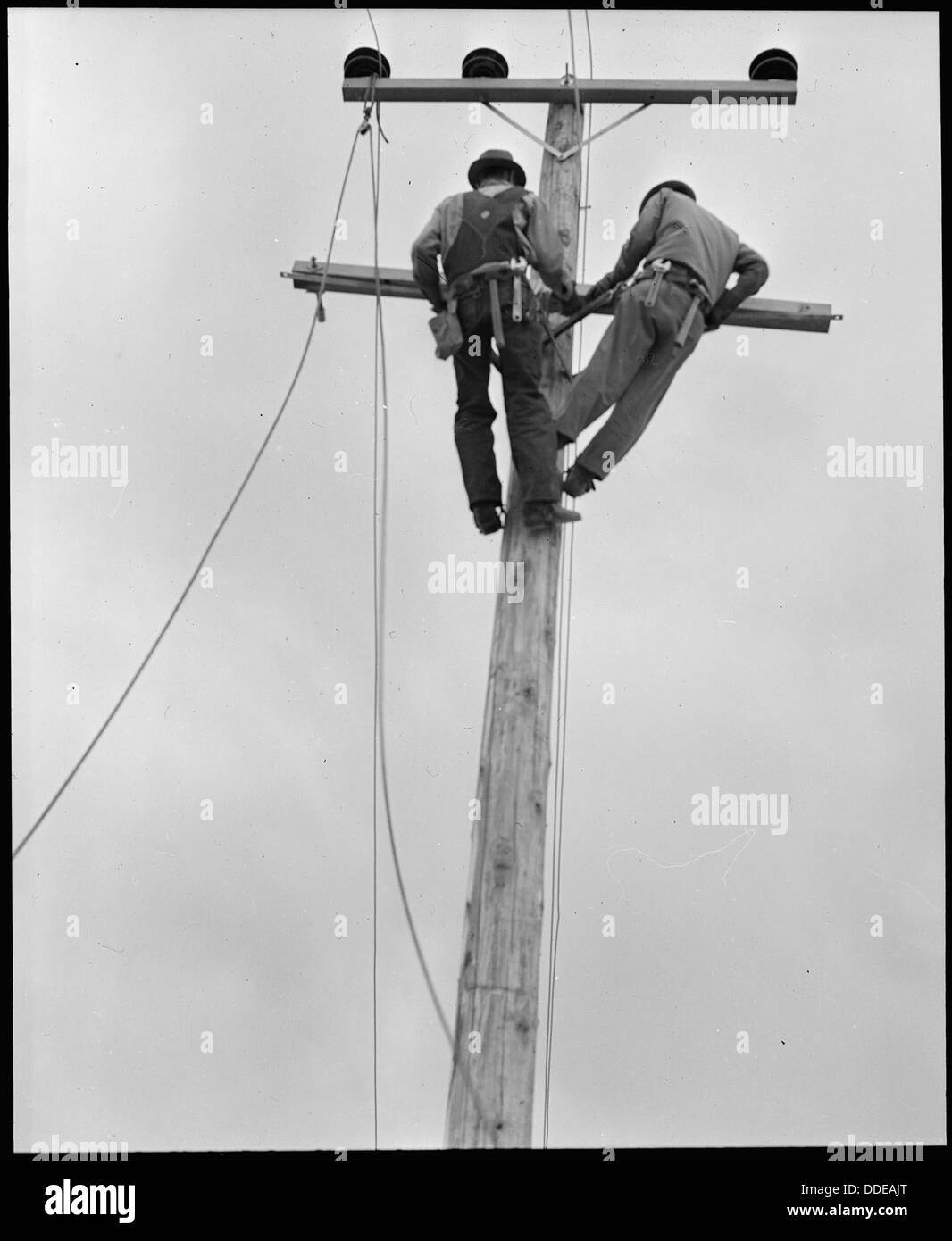 At the Poston War Relocation Center in Arizona, workers install light ...