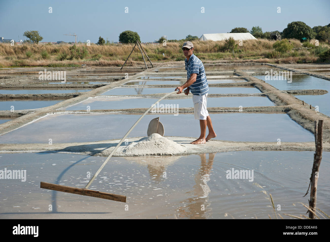 Salt pan worker hi-res stock photography and images - Alamy