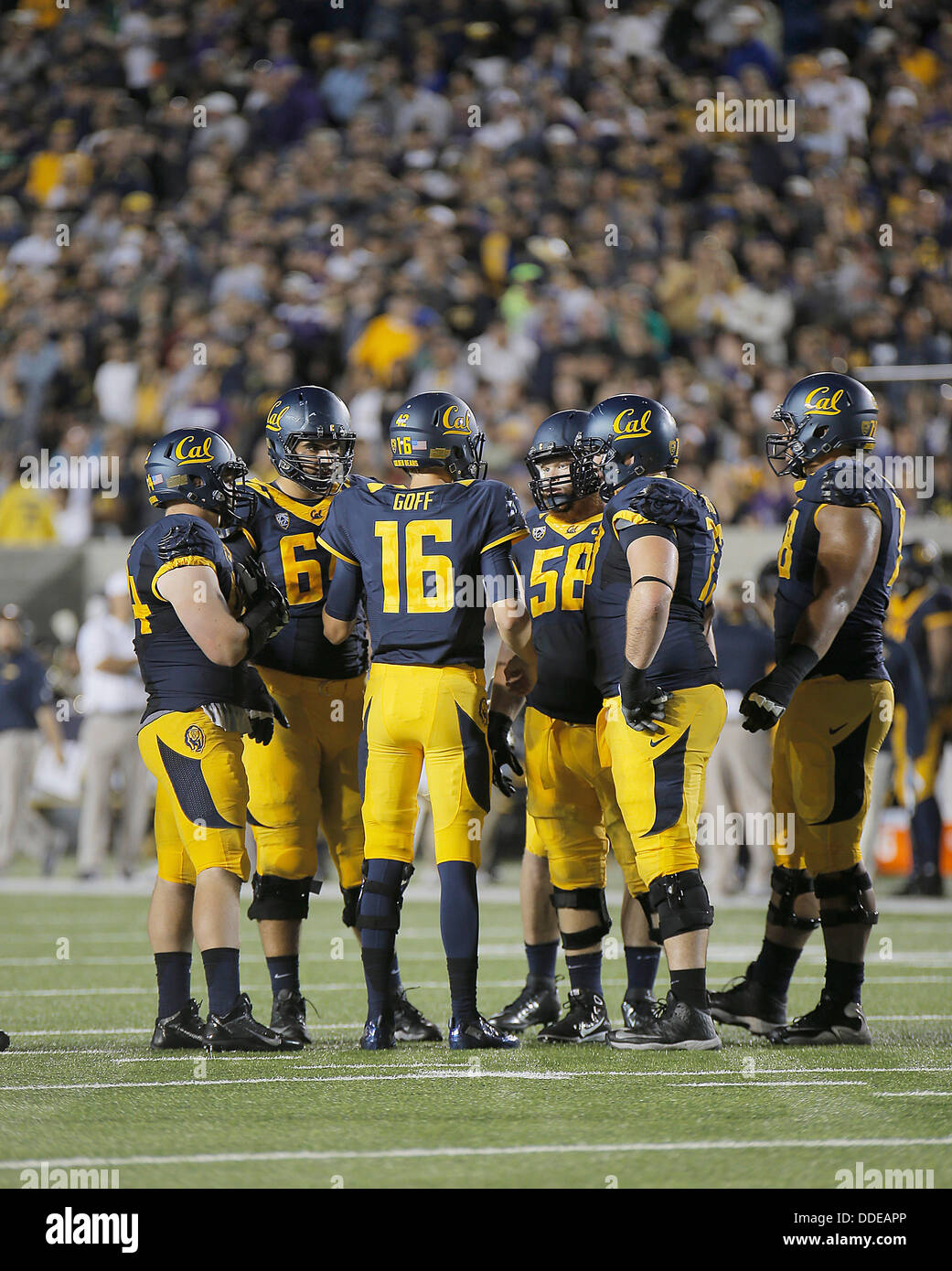 Gingold hi-res stock photography and images - Alamy