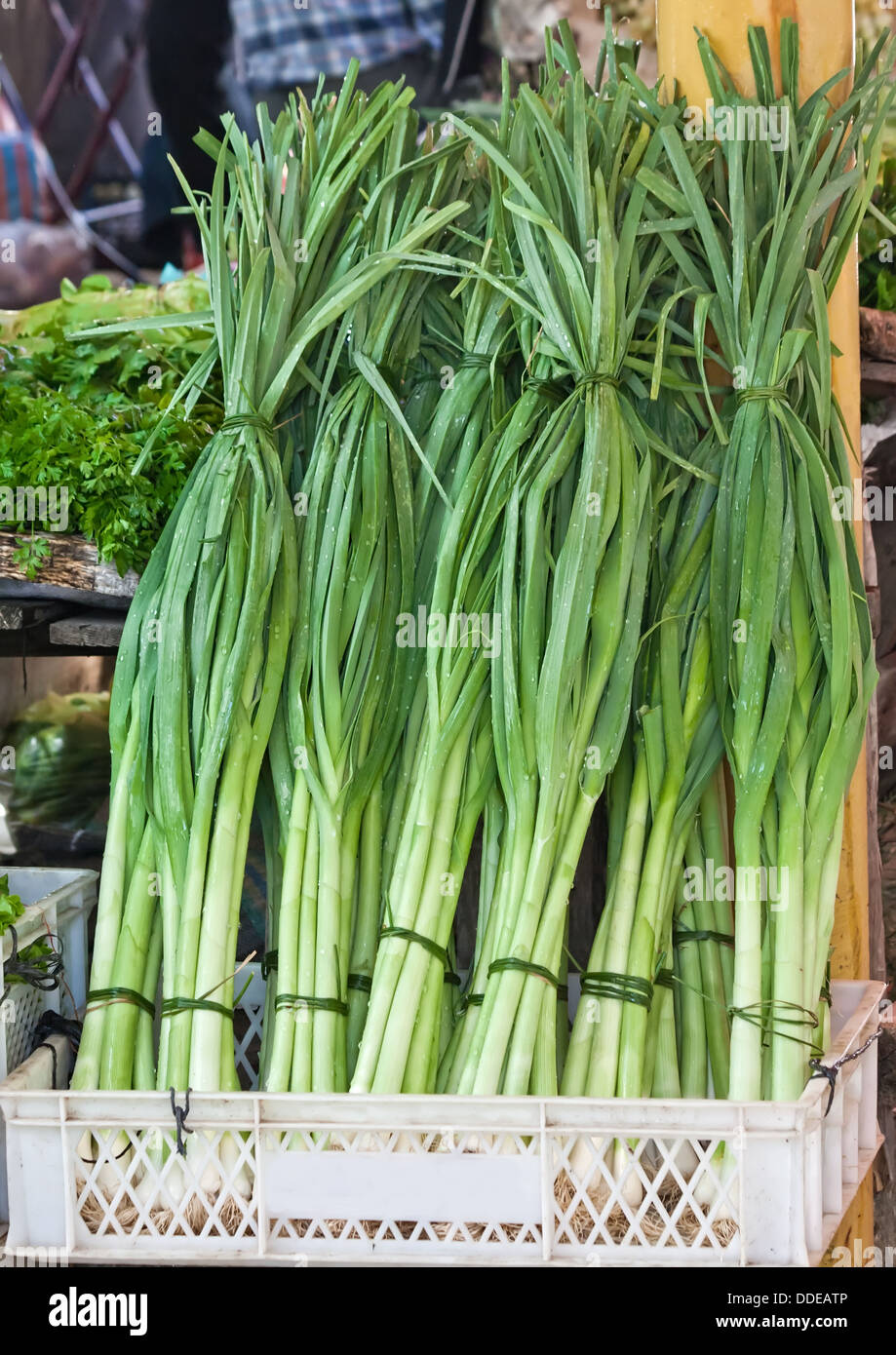Fresh Organic Leek, At A Street Market In Canakkale, Turkey Stock Photo ...